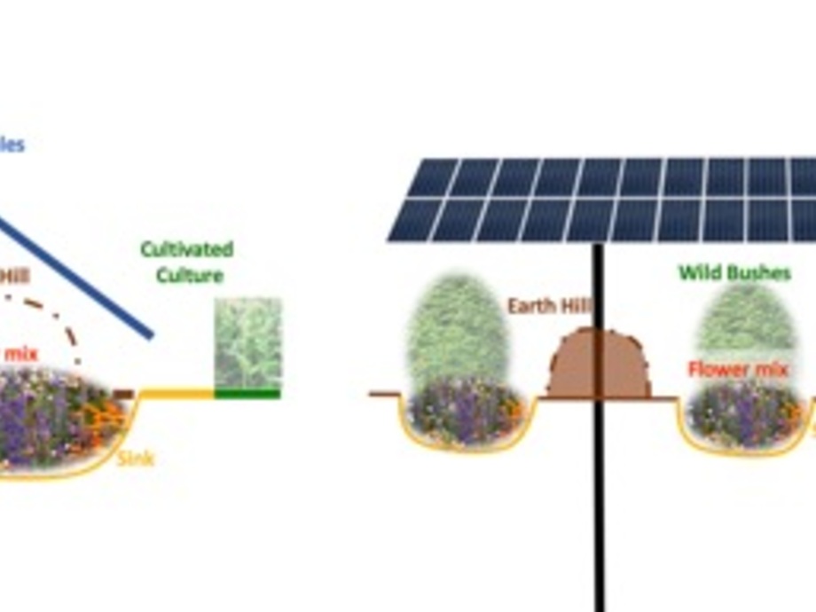 Flower-Power: - Better field irrigation with water-harvesting flower ...