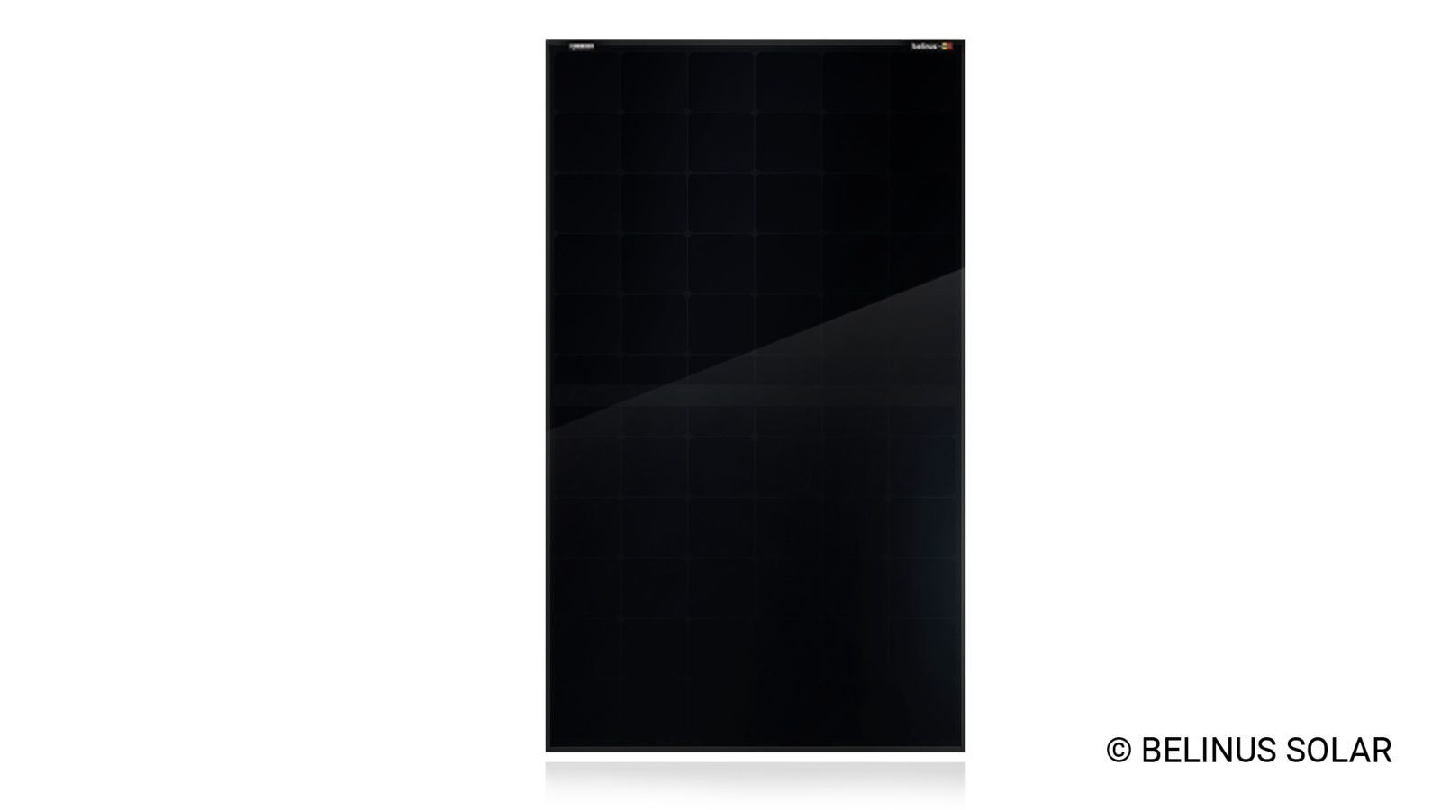 Belinus Solar: 'Wetterbedingungen machen ibc-Solarmodul ideal für die ...