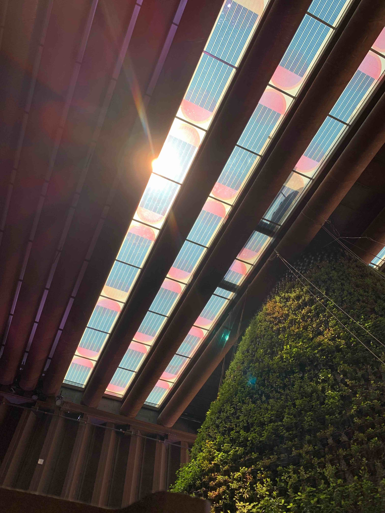 BIPV - Skylights made of organic solar cells