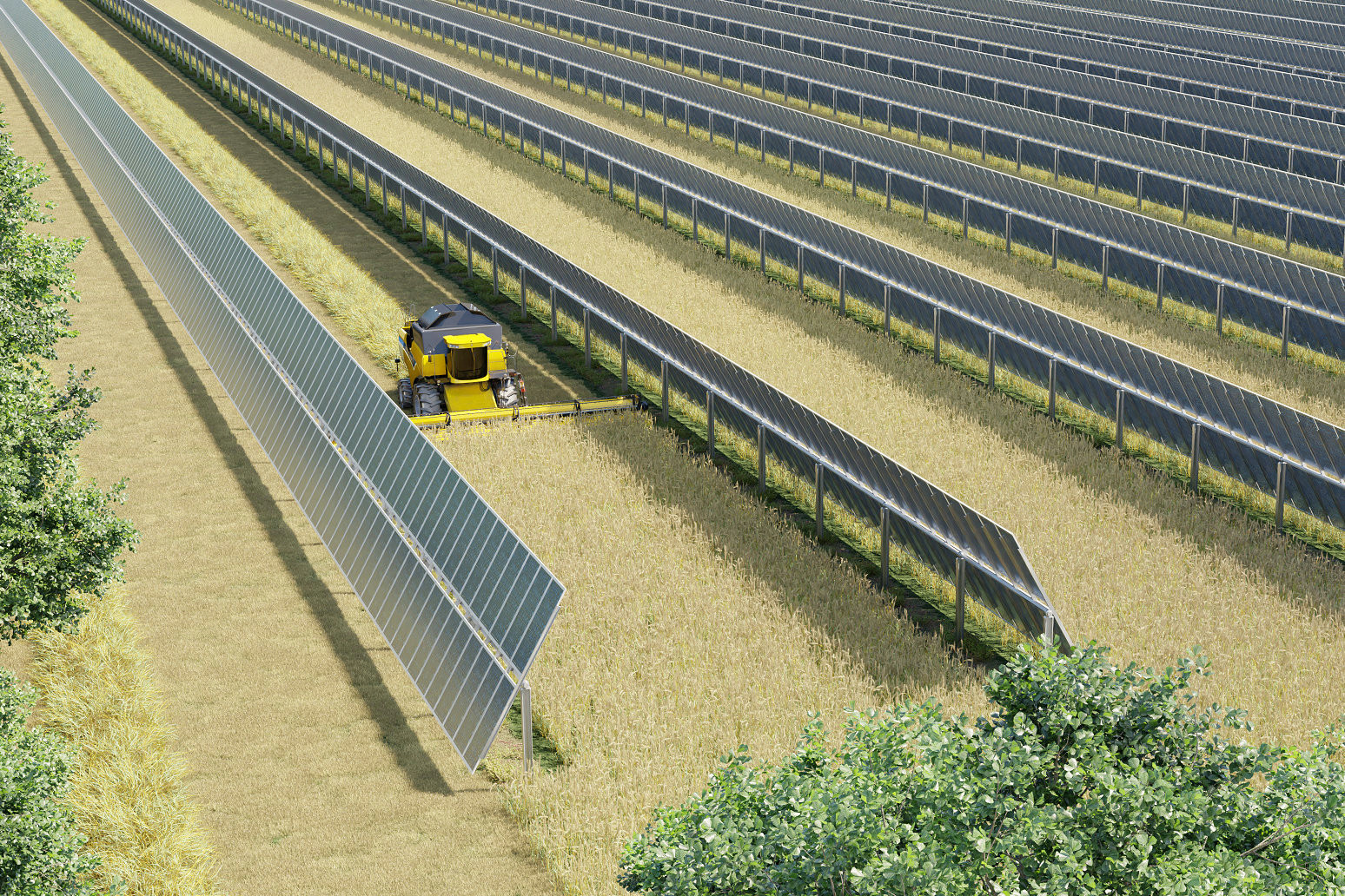 Agri-PV research in Denmark - Will solar parks produce more than energy ...