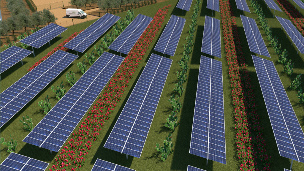 Agri-PV - Sens and Peridot Solar launch large-scale agri-PV project in ...