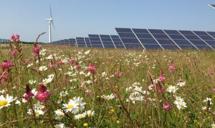 Well-managed solar parks foster biodiversity and sustainable agriculture