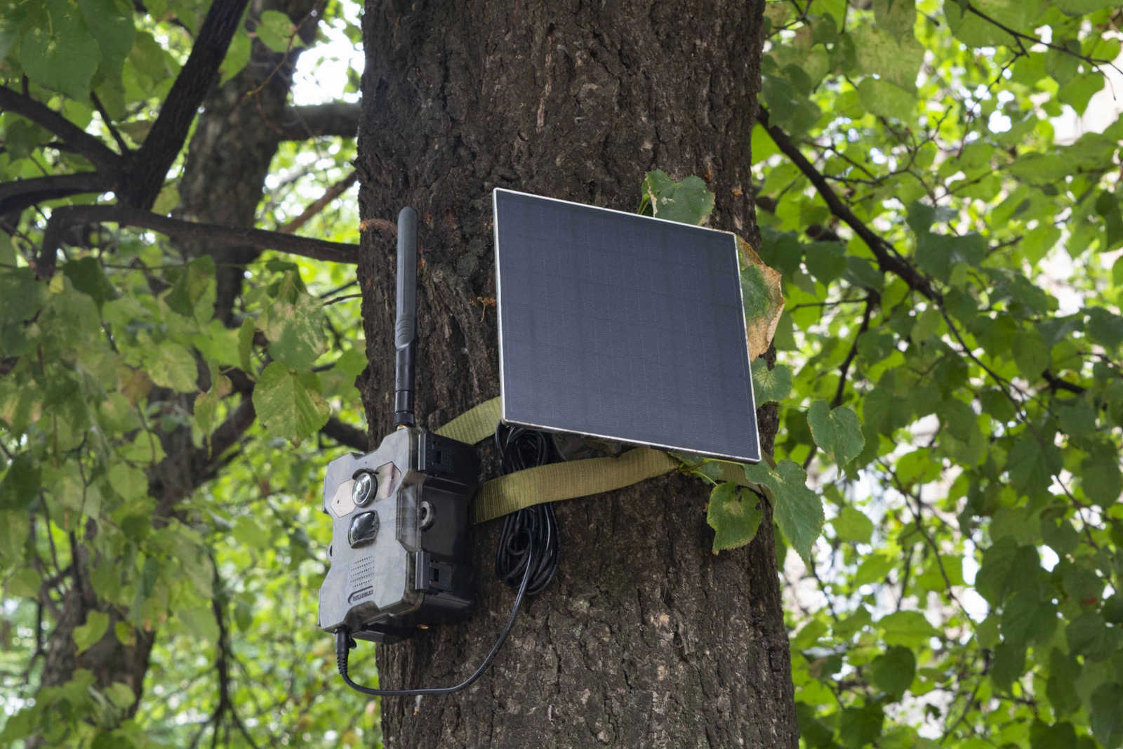 Off-grid appliance - A solar powered wildlife and security camera