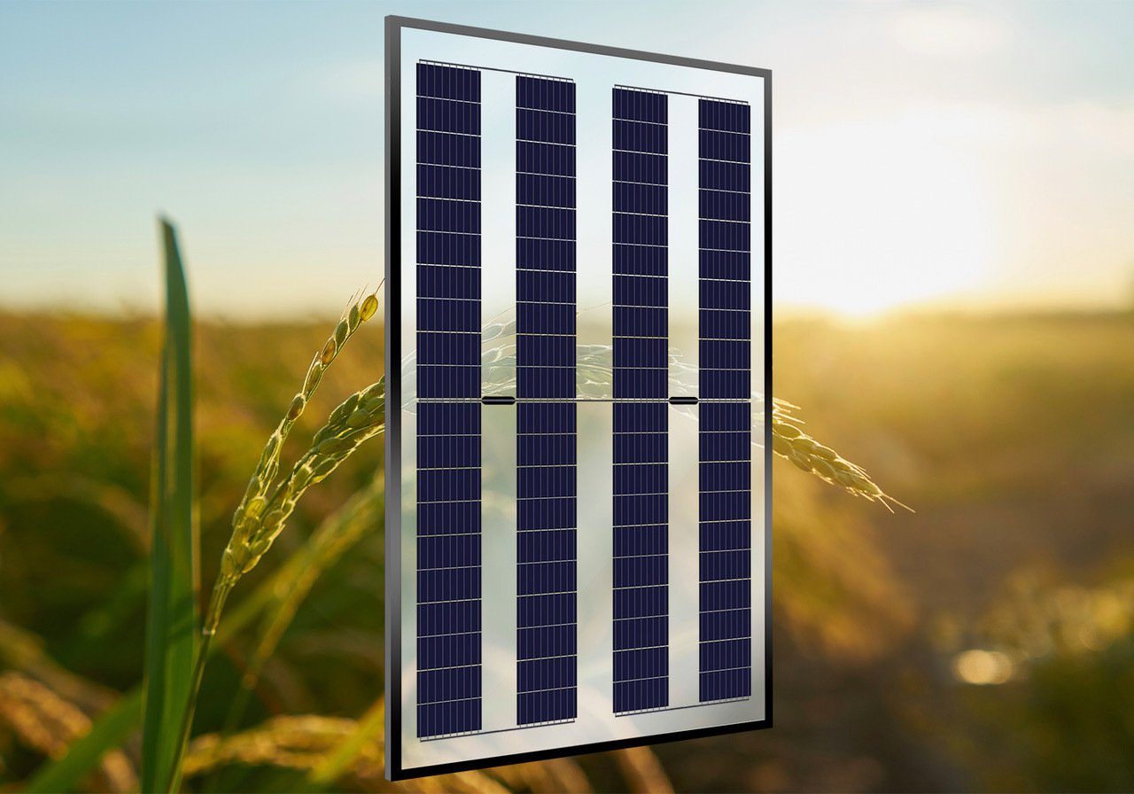 Gridparity unveils bifacial double-glazed module for Agri-PV