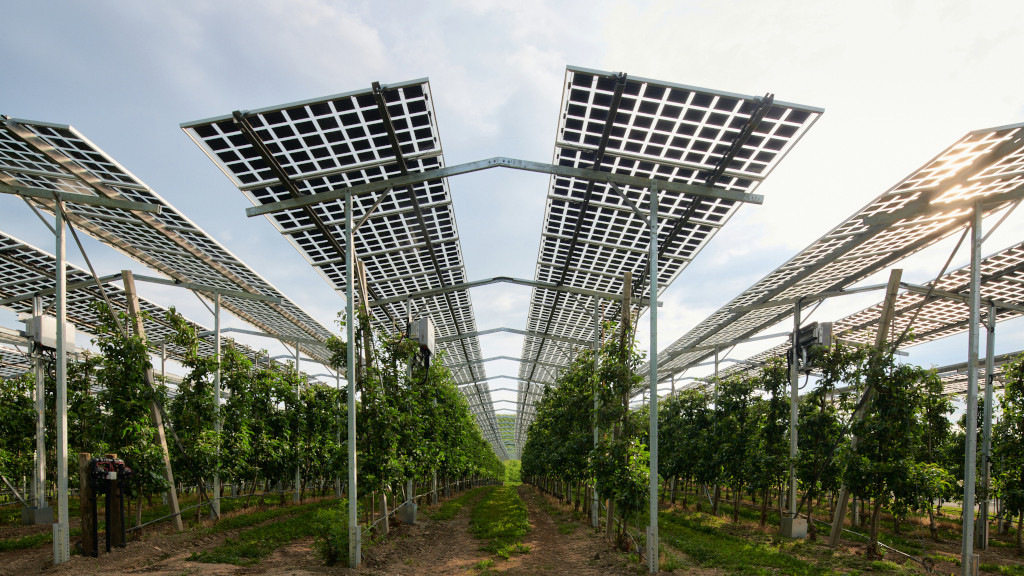 Agrivoltaics experts to gather in Freiburg for July summit