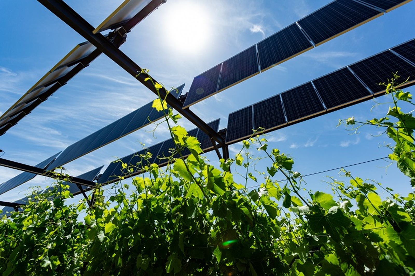 Agri-PV: - Facilitate the energy transition and greening agriculture