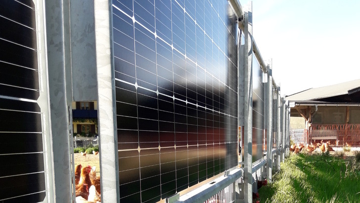 Solar fencing: - Solarzaun implements first project in Switzerland