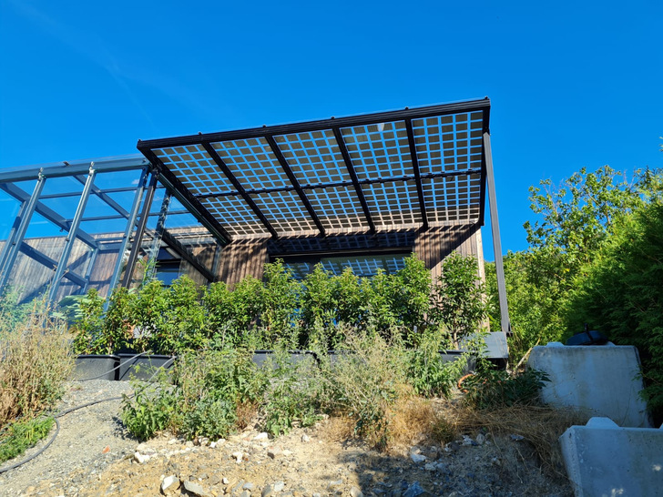 Solar modules - GridParity expands its range of semi-transparent modules